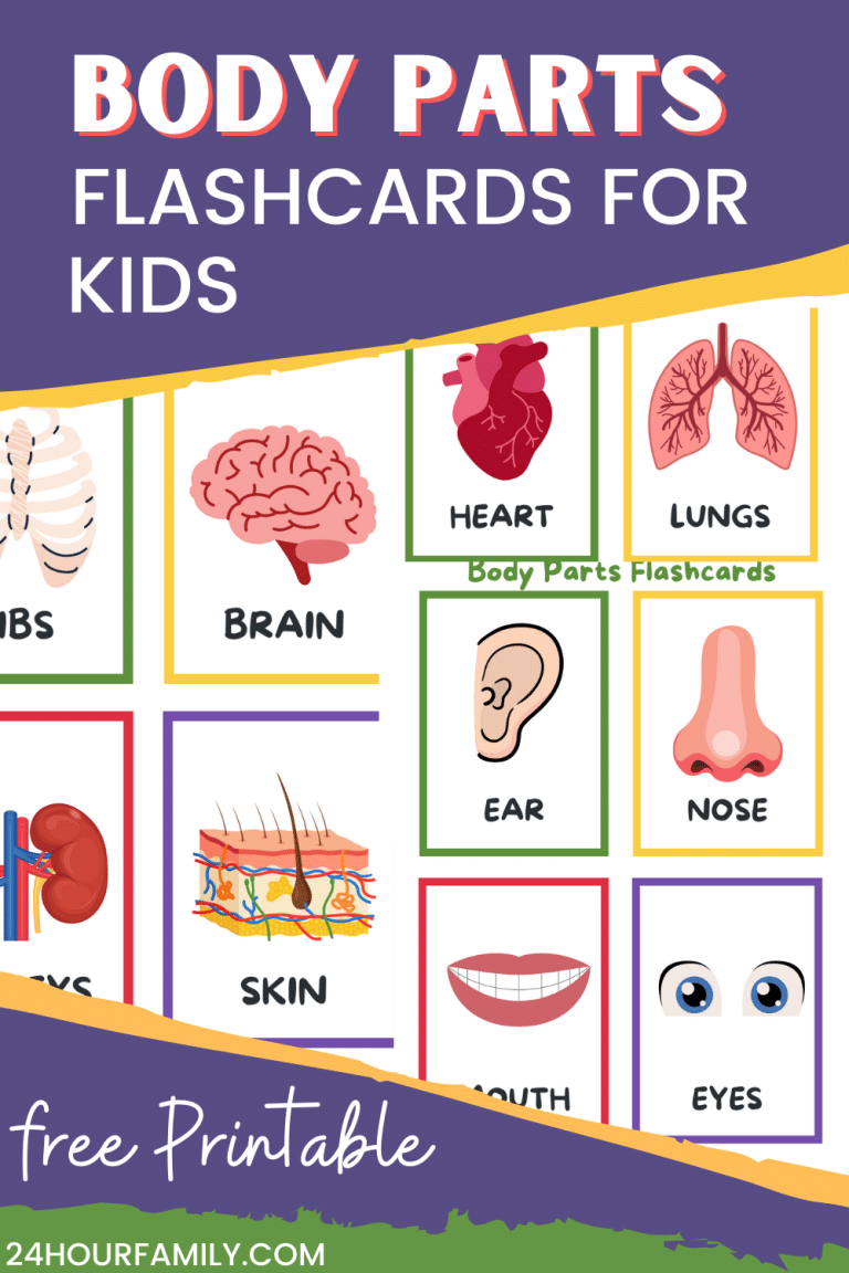 Free Body Parts Flashcards Printable for Kids