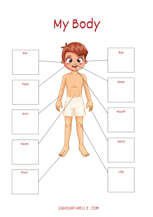 Body Parts Activities For Preschoolers Free Printable 24hourfamily