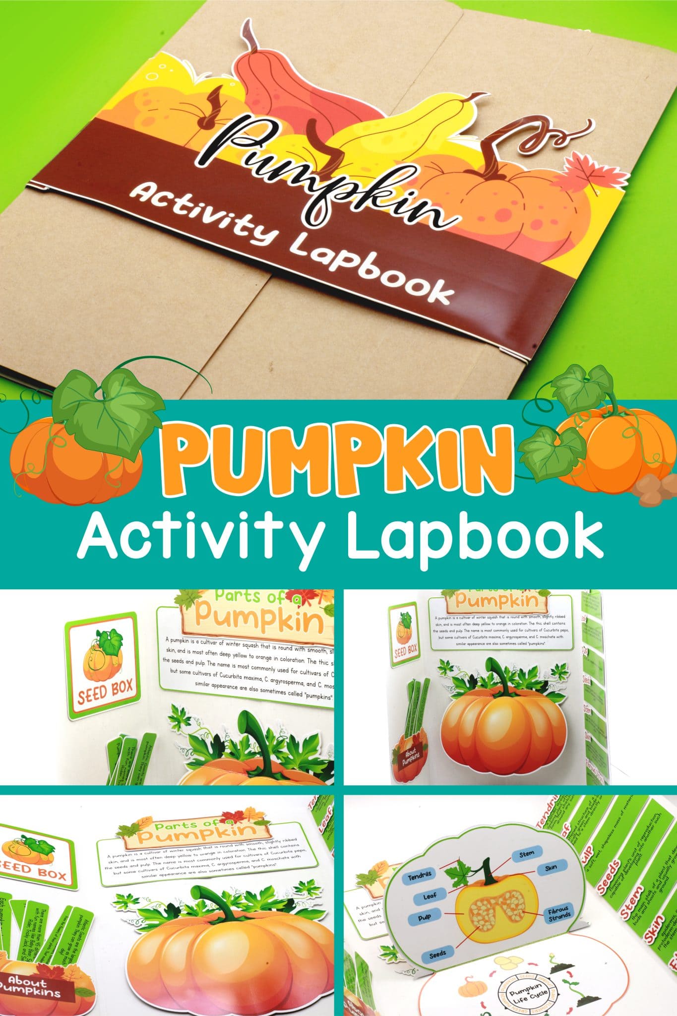 Pumpkin Life Cycle Printable Activity Book (Free To Print)