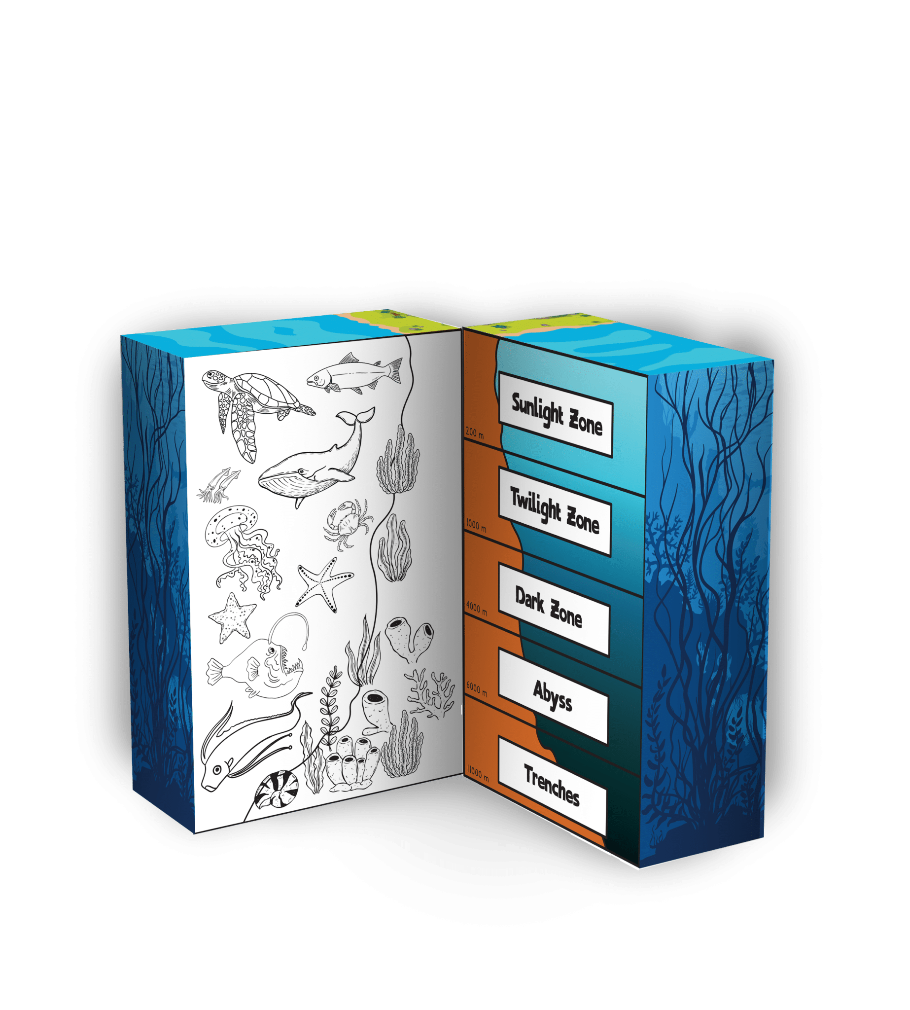 Dive Deep: Printable Layers of the Ocean Diorama for Kids to Build ...