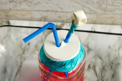 Homemade Heart Model Project