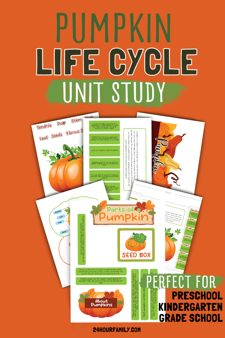 Pumpkin Life Cycle Printable Activity Book (Free To Print)