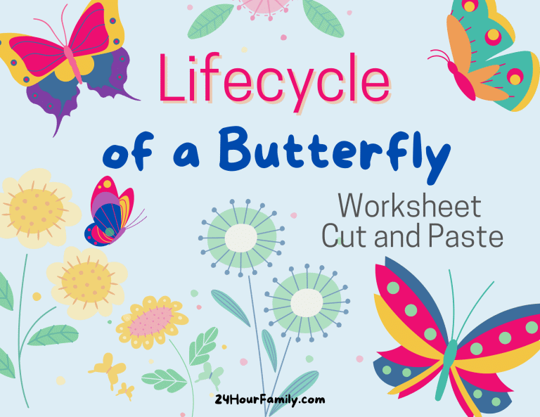 Life Cycle of a Butterfly Cut and Paste Worksheet » 24hourfamily.com