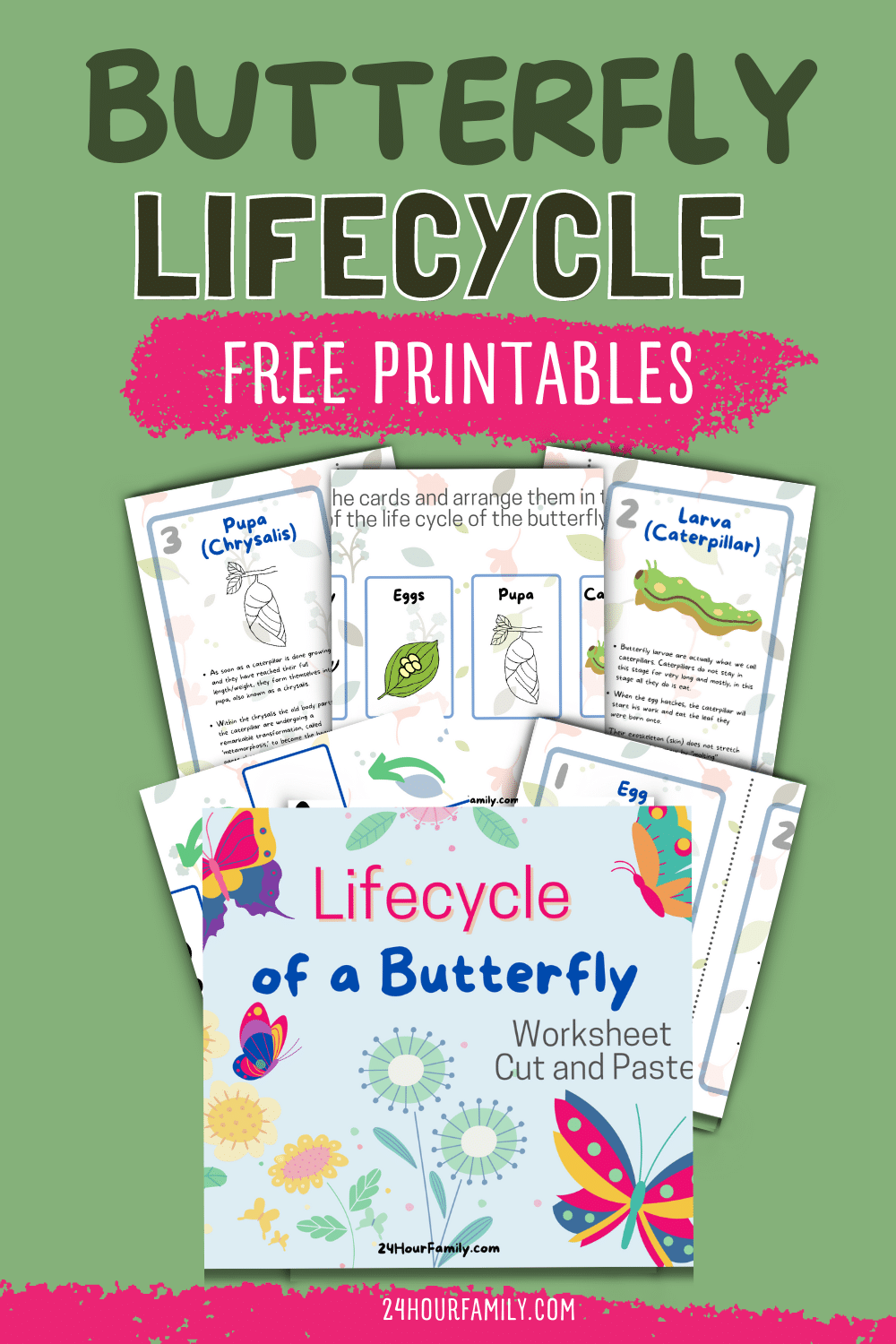 Life Cycle of a Butterfly Cut and Paste Worksheet » 24hourfamily.com
