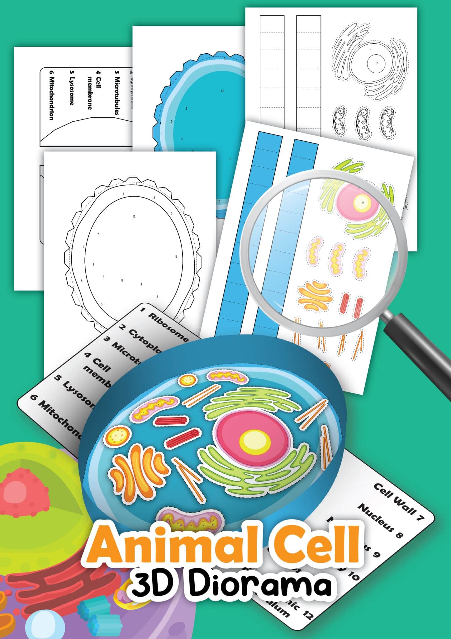 Create Your Own 3D Animal Cell: Printable Diorama