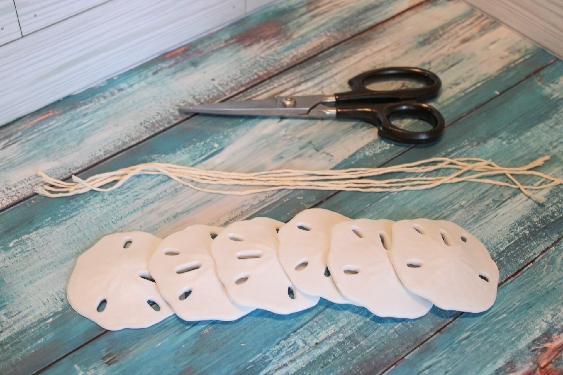 How to Make Hydro-Dipped Painted Sand Dollars
