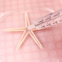 Simple Toothpick and Star STEM Science Experiment