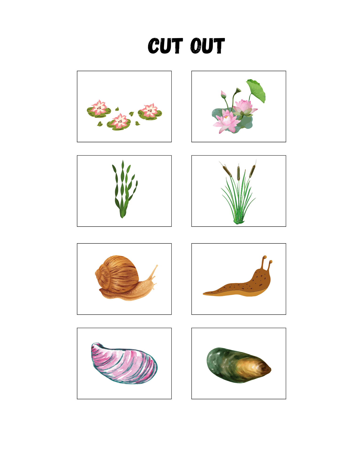 Pond Life Sorting Activity Mats (Free PDF Printables)