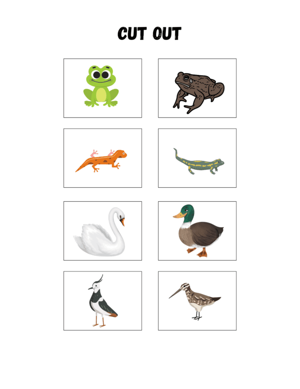 Pond Life Sorting Activity Mats (Free PDF Printables)