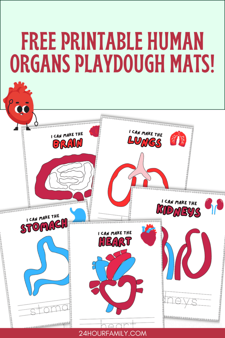 Human Organs Playdough Mats (Free to Print)