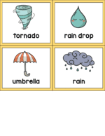 Weather Bingo Printable Game (Free To Download)