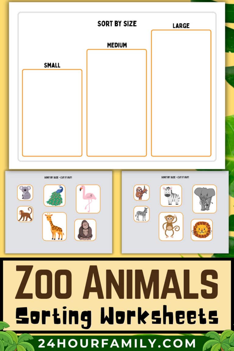 Free Zoo Animals Sorting Worksheets (Sort by Size, PDF)