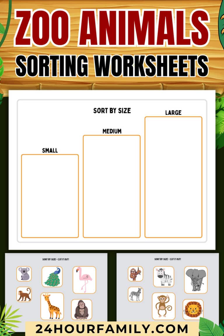 Zoo Animals Sorting Worksheets