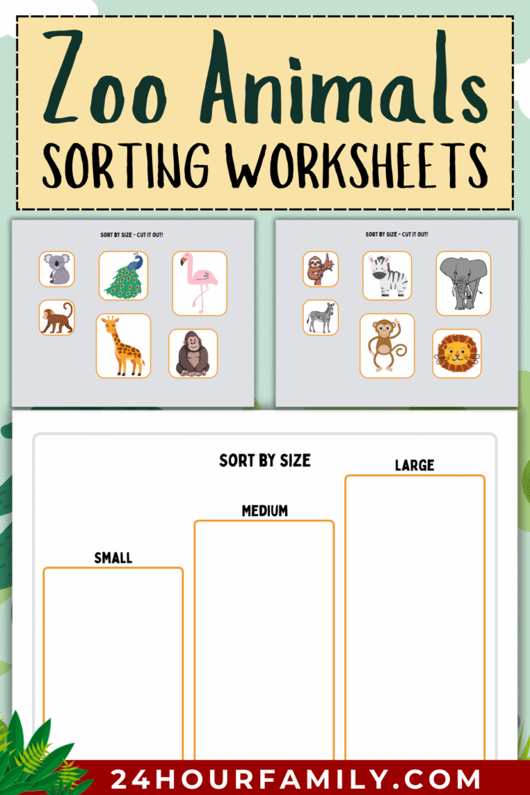 Free Zoo Animals Sorting Worksheets (Sort by Size, PDF)