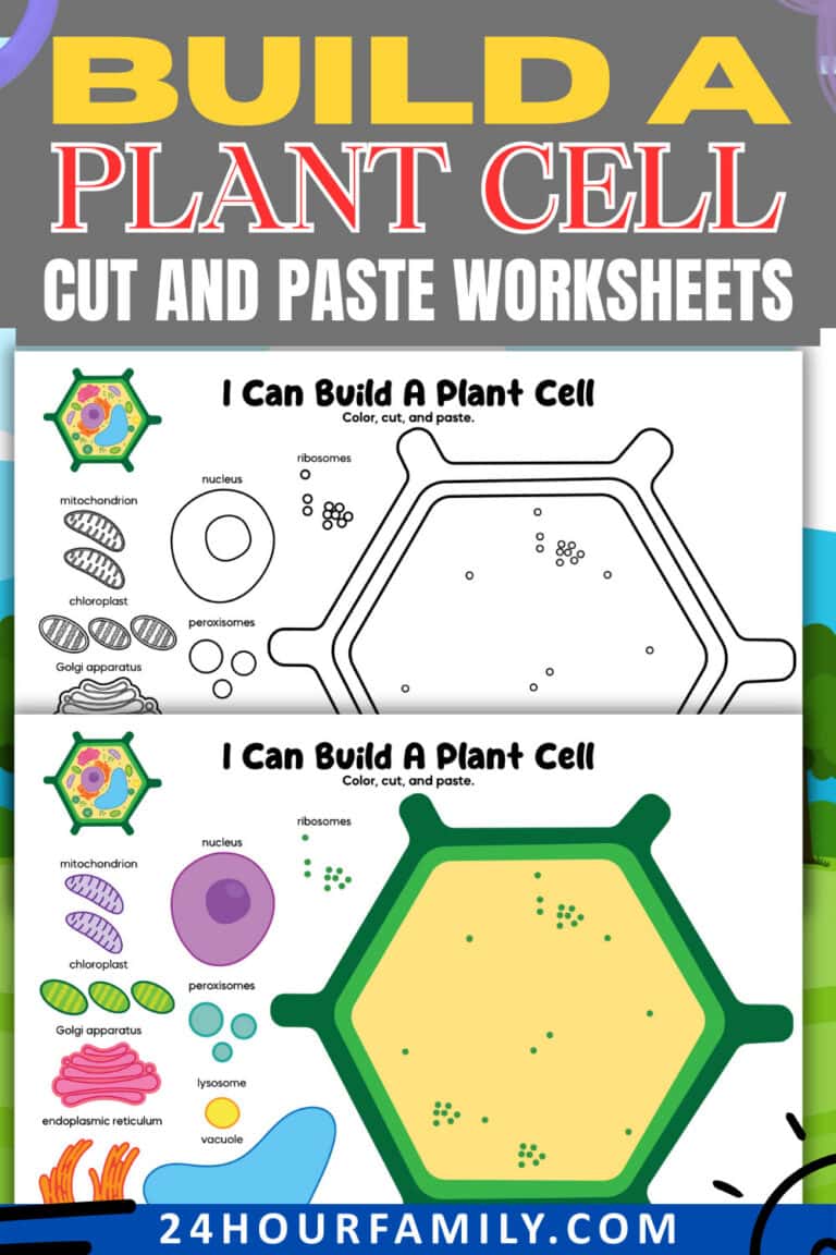 Build a Plant Cell Cut and Paste Worksheets » 24hourfamily.com