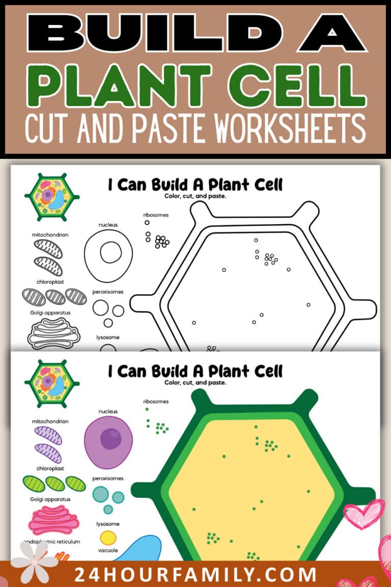Build a Plant Cell Cut and Paste Worksheets » 24hourfamily.com